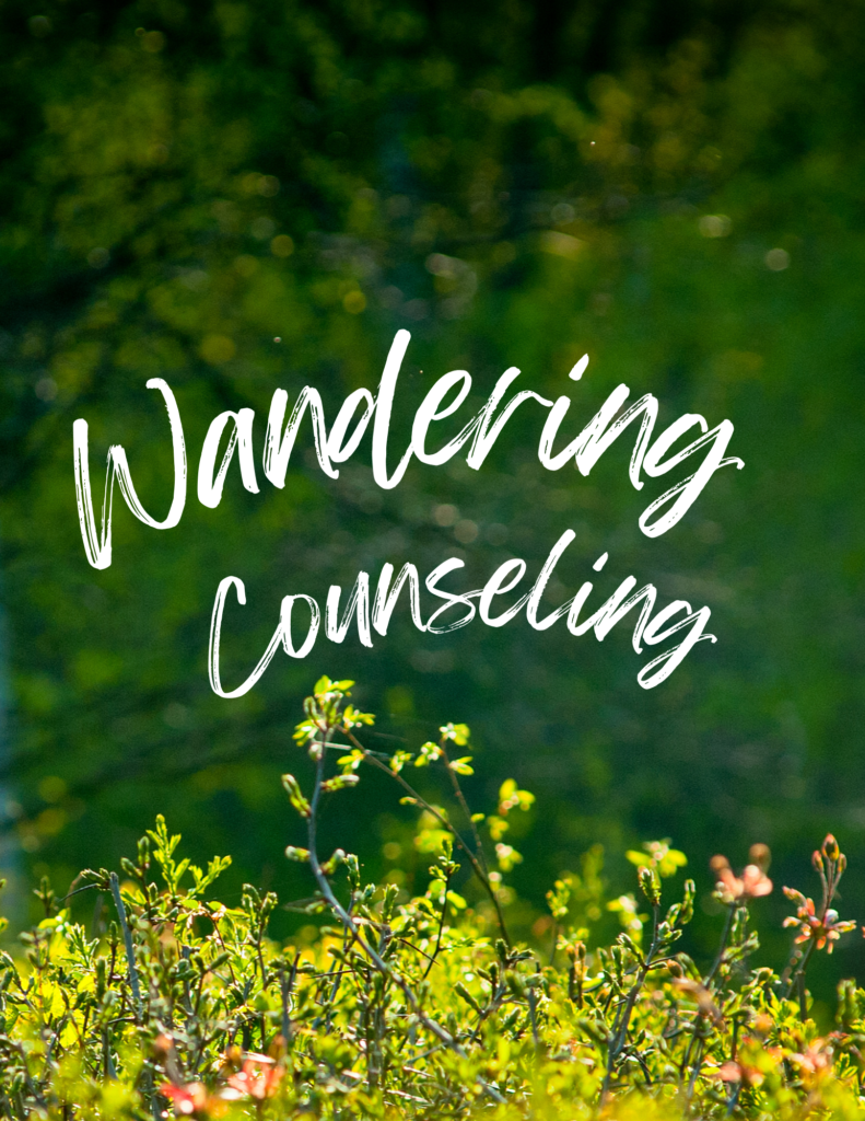 Mental Health Counseling: Booking Your First Session
